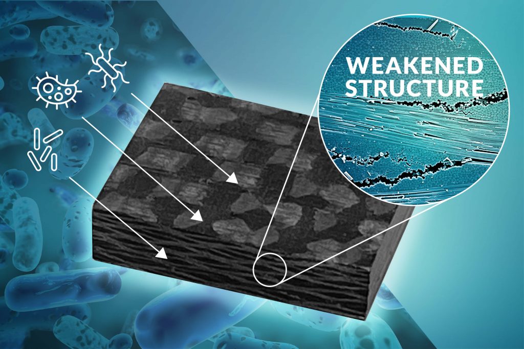 MICROBIAL DEGRADATION OF PLASTICS – Anantharaman Microbiome Laboratory ...